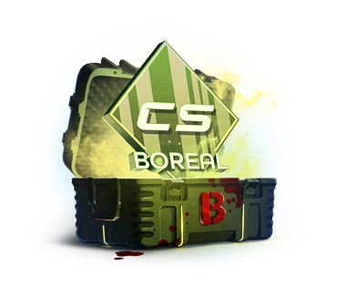 CS2 The Boreal Collection Case - ⚡️ Best Skins ⚡️ - Open On BloodyCase